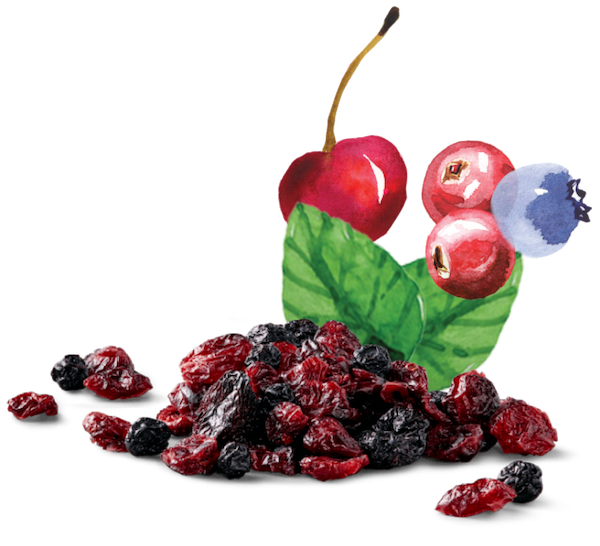 Dried Mixed Berries - Sun-Maid Farmstand Reserve